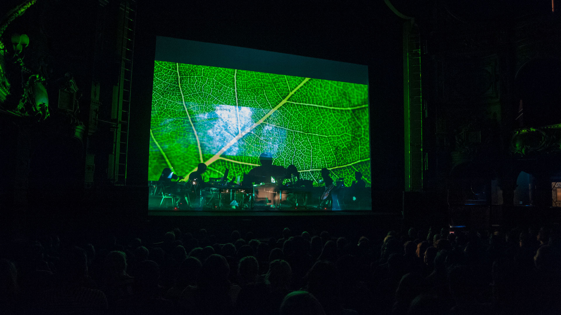 SUPER EVERYTHING – EFOZY